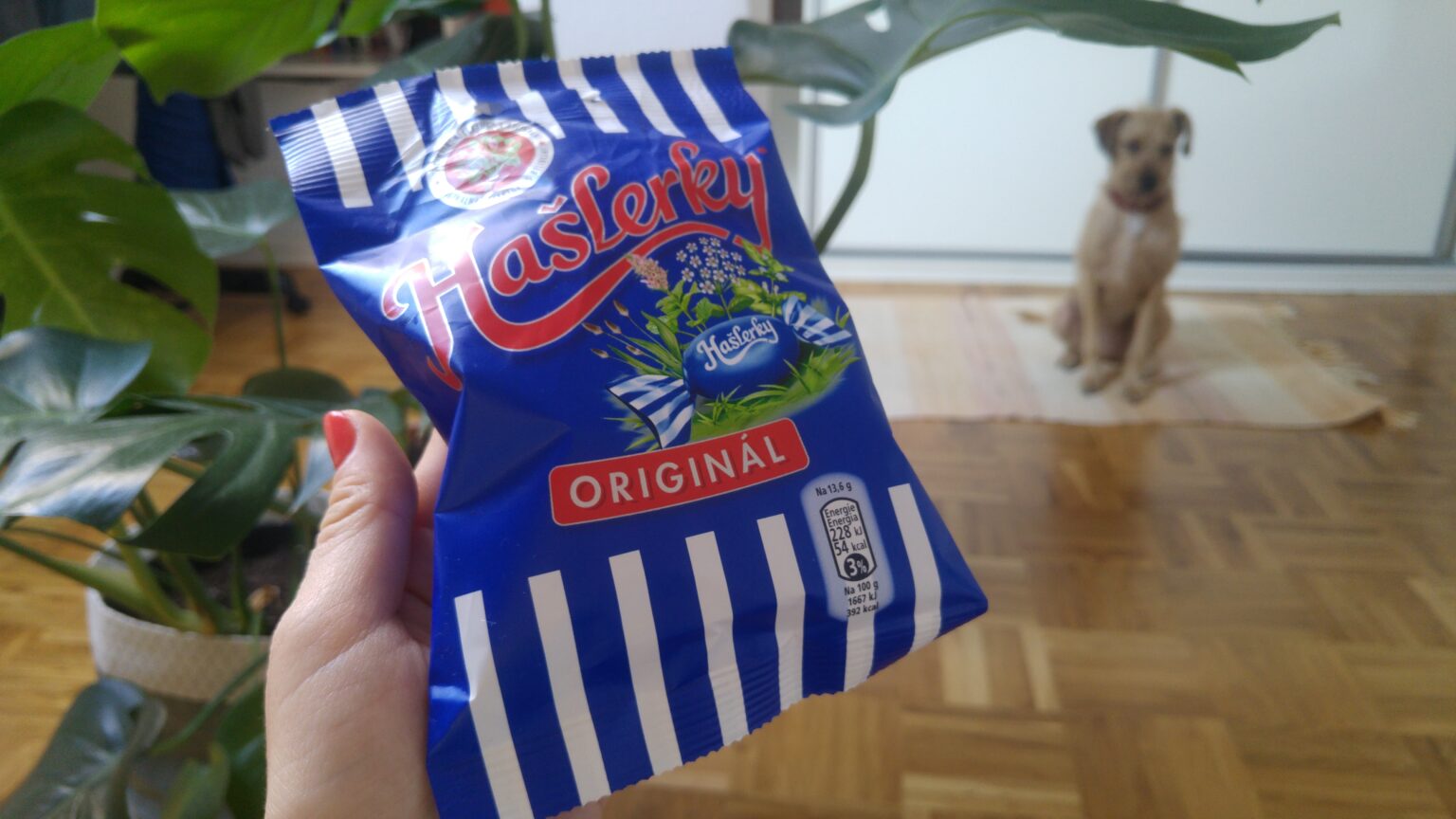 Traditional Czech Sweets | Prague Behind The Scenes